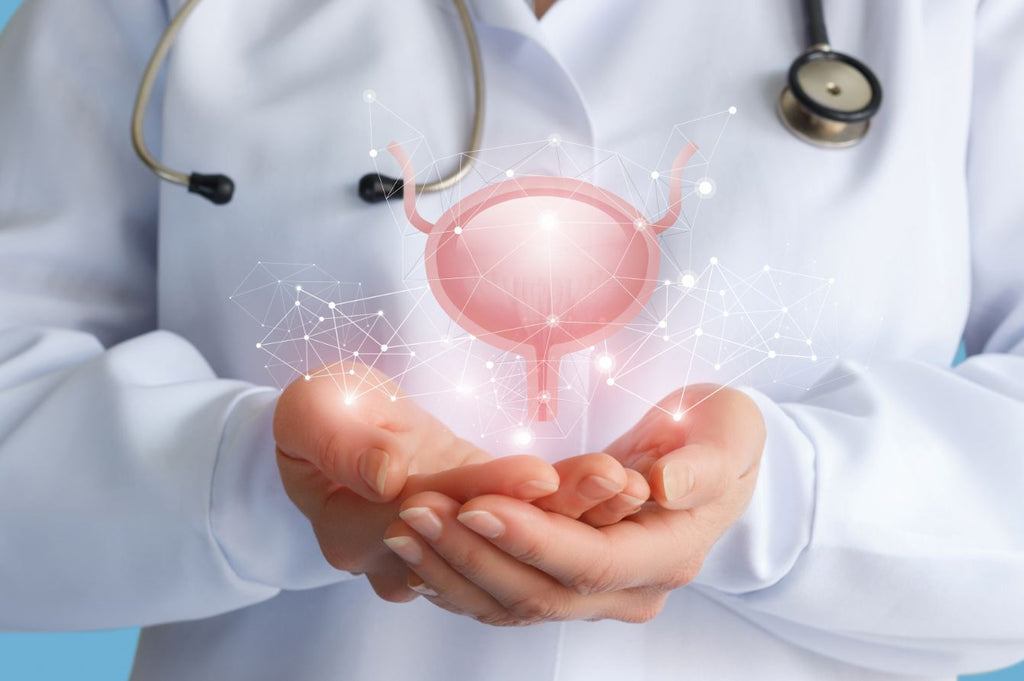 The Inflammation of the Prostate Gland – Vastmedic